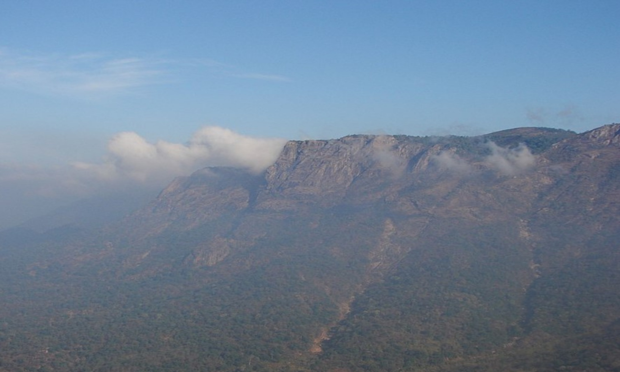 Kolli Hills Travel Guide: Complete Tips, Best Time to Visit & Things to ...