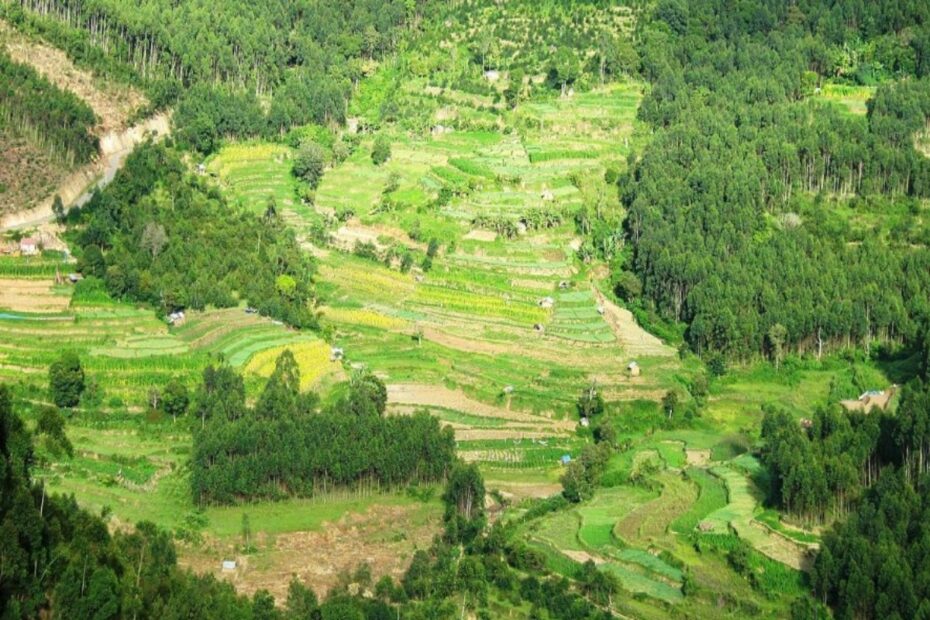 Vattavada – Visit This Peaceful Village Near Munnar - Travelmax